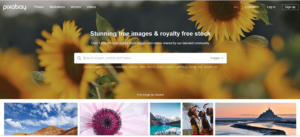 Top 7 Free Royalty Free & Copyright Free Images Websites